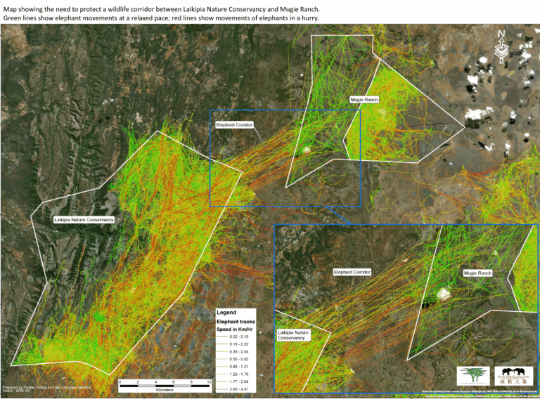Kenya: Conservation of elephants and other wildlife at Kenya's largest ...