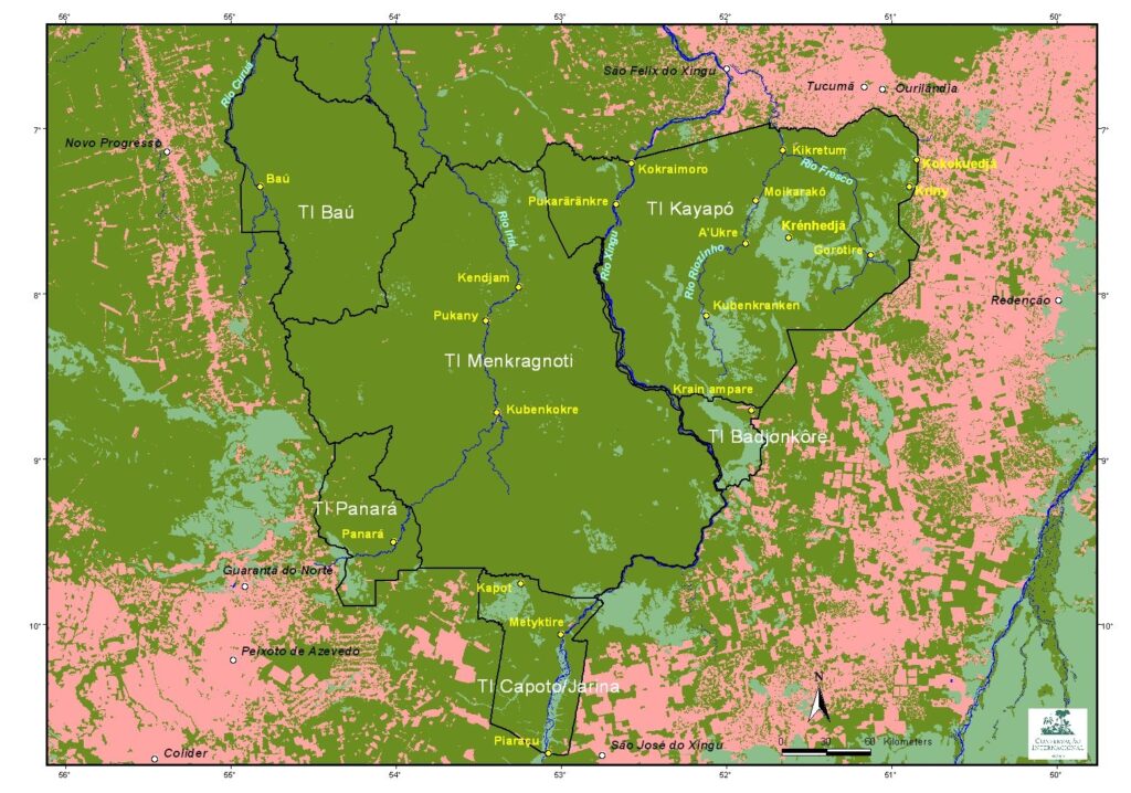 Kayapo project - Biome Conservation