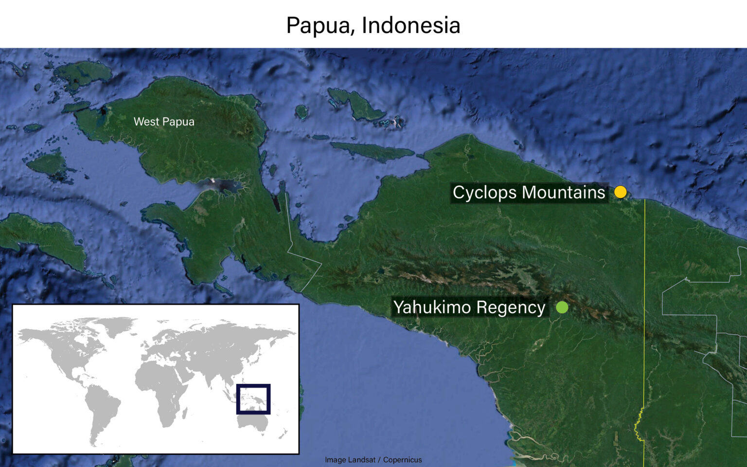 Indonesia: Forest conservation in Papua - Biome Conservation
